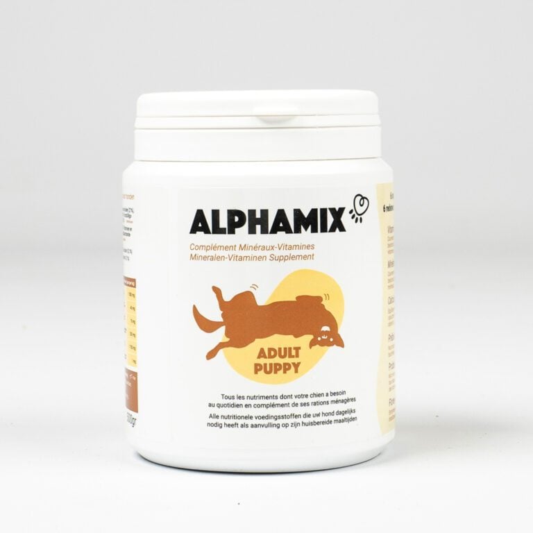 Pourquoi Dog Chef est bon pour mon chien ? - Dog Chef