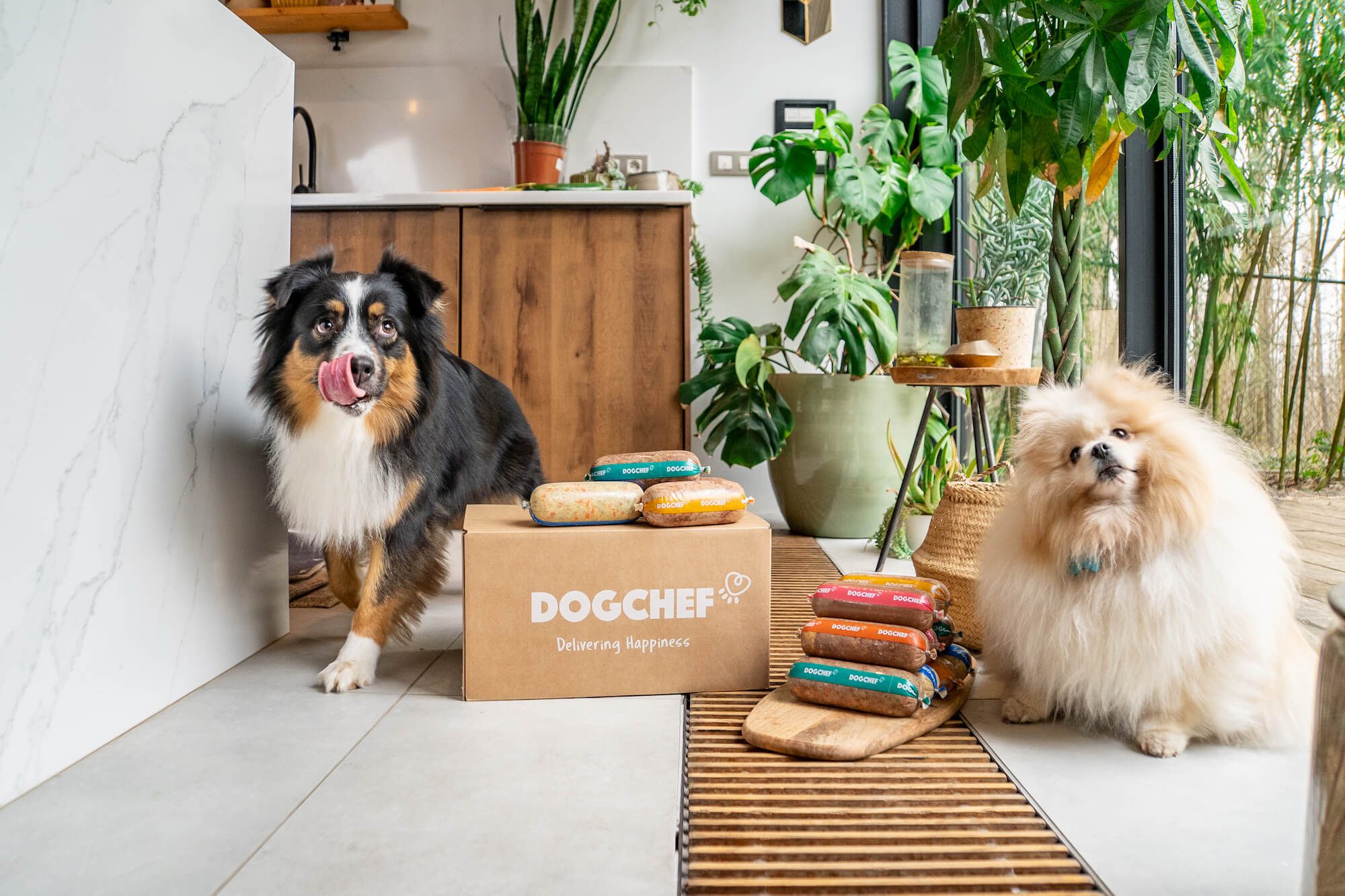 How Do I Cook Fish For My Dog