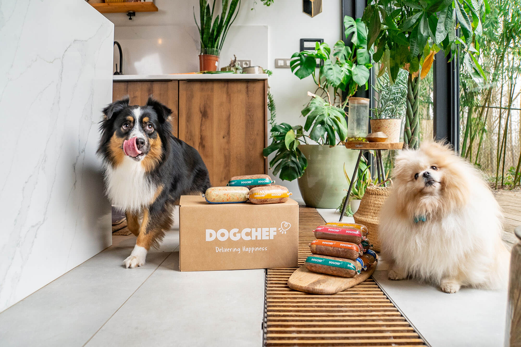 Pourquoi Dog Chef ? Les avantages du frais pour la santé de votre chien