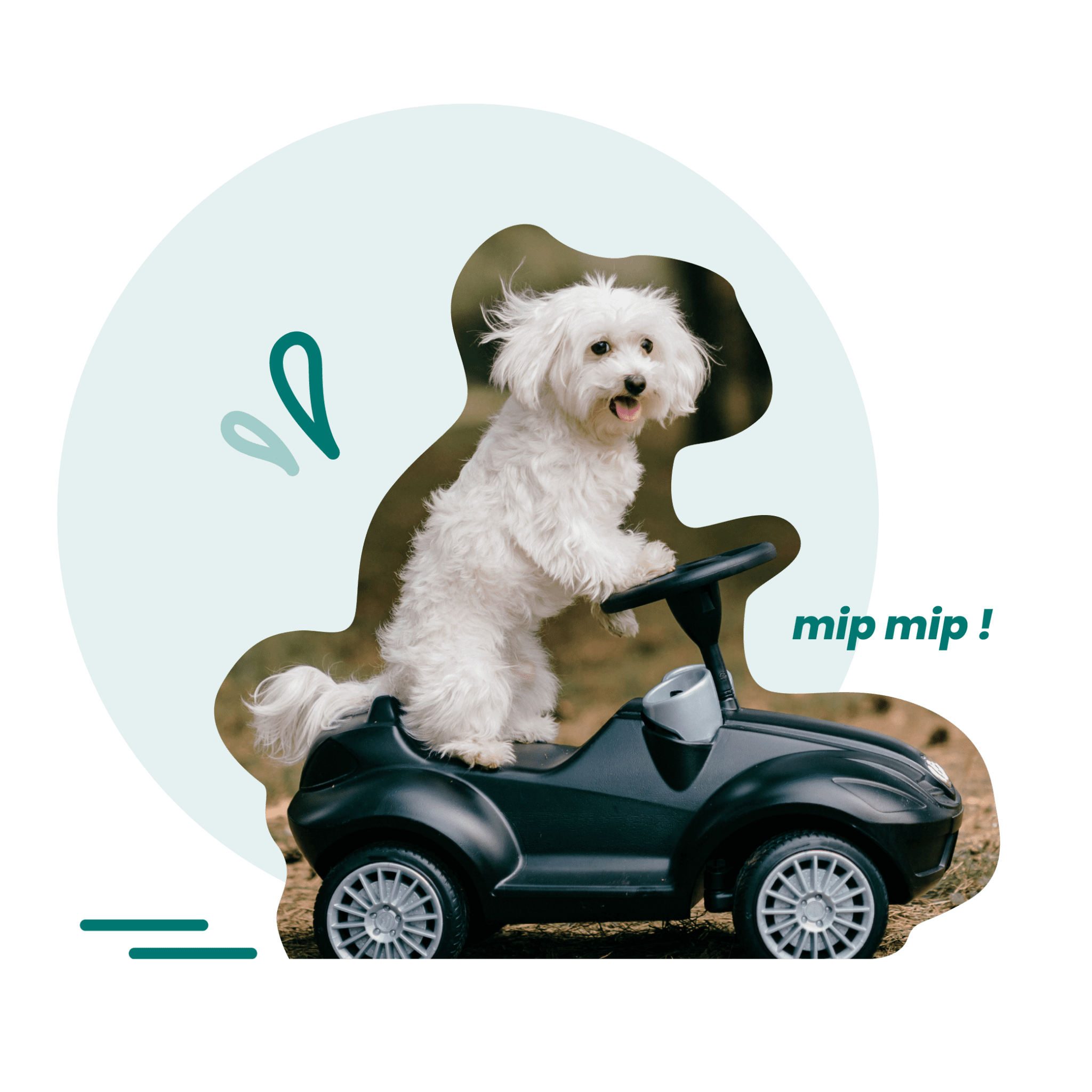 Dog Chef - Fresh Meals For Dogs, Cooked with 100% Natural Ingredients