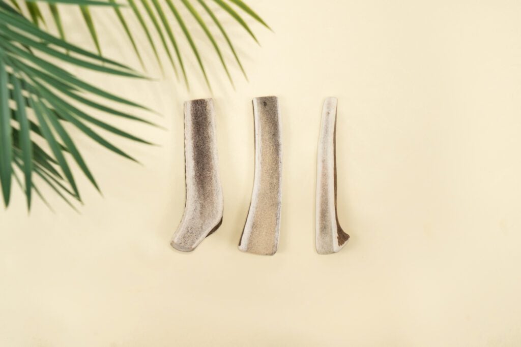 Dog Chef - Fresh Meals For Dogs, Cooked with 100% Natural Ingredients