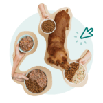 Dog Chef - Fresh Meals For Dogs, Cooked with 100% Natural Ingredients