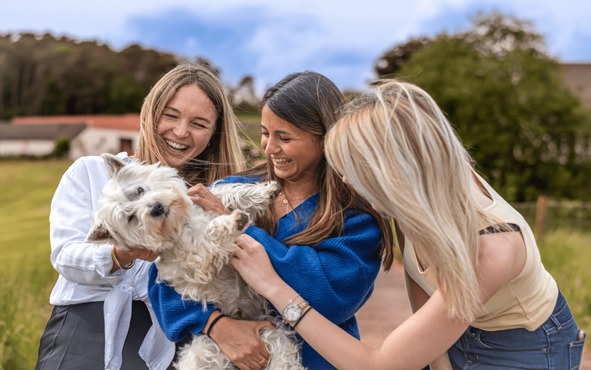 Dog Chef - Fresh Meals For Dogs, Cooked with 100% Natural Ingredients