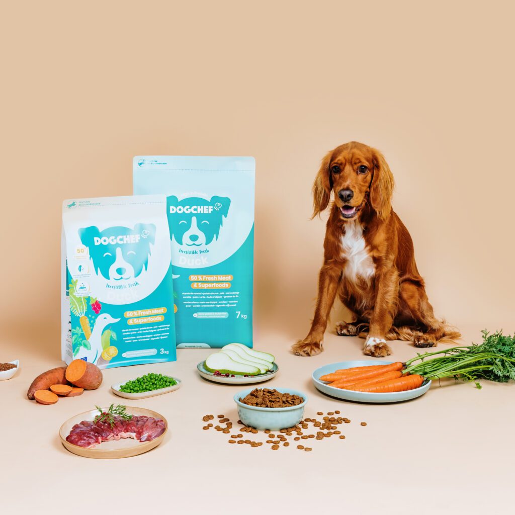 Nos Recettes de Croquettes Saines & Bio pour Chien - Dog Chef
