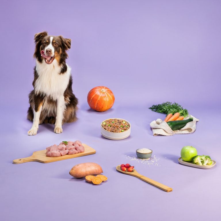 Dog Chef - Fresh Meals For Dogs, Cooked with 100% Natural Ingredients